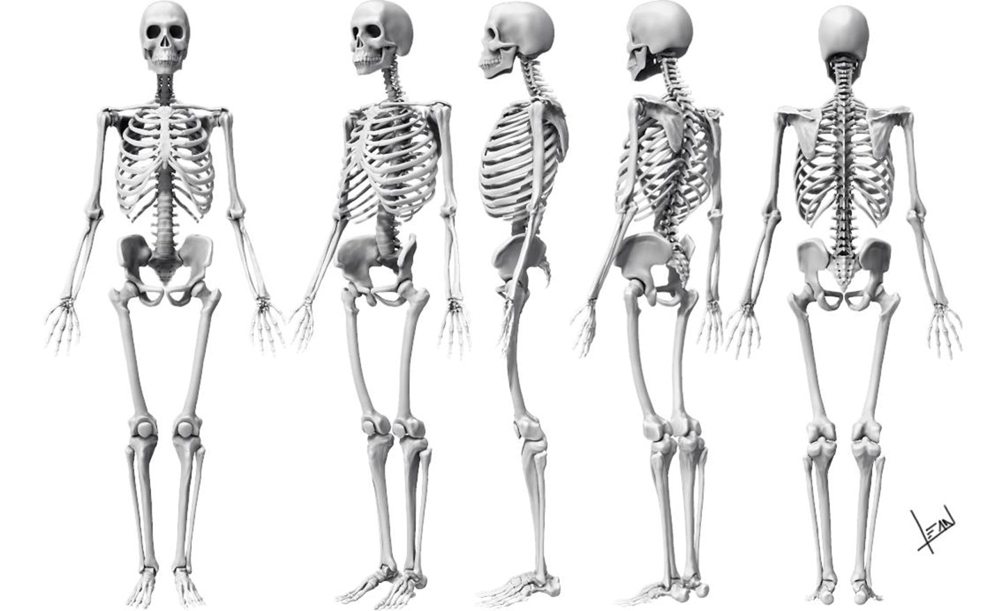 Skeleton_multiple_views – This Dancing Life