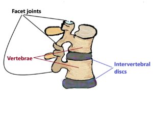 Your Dancing Spins | This Dancing Life